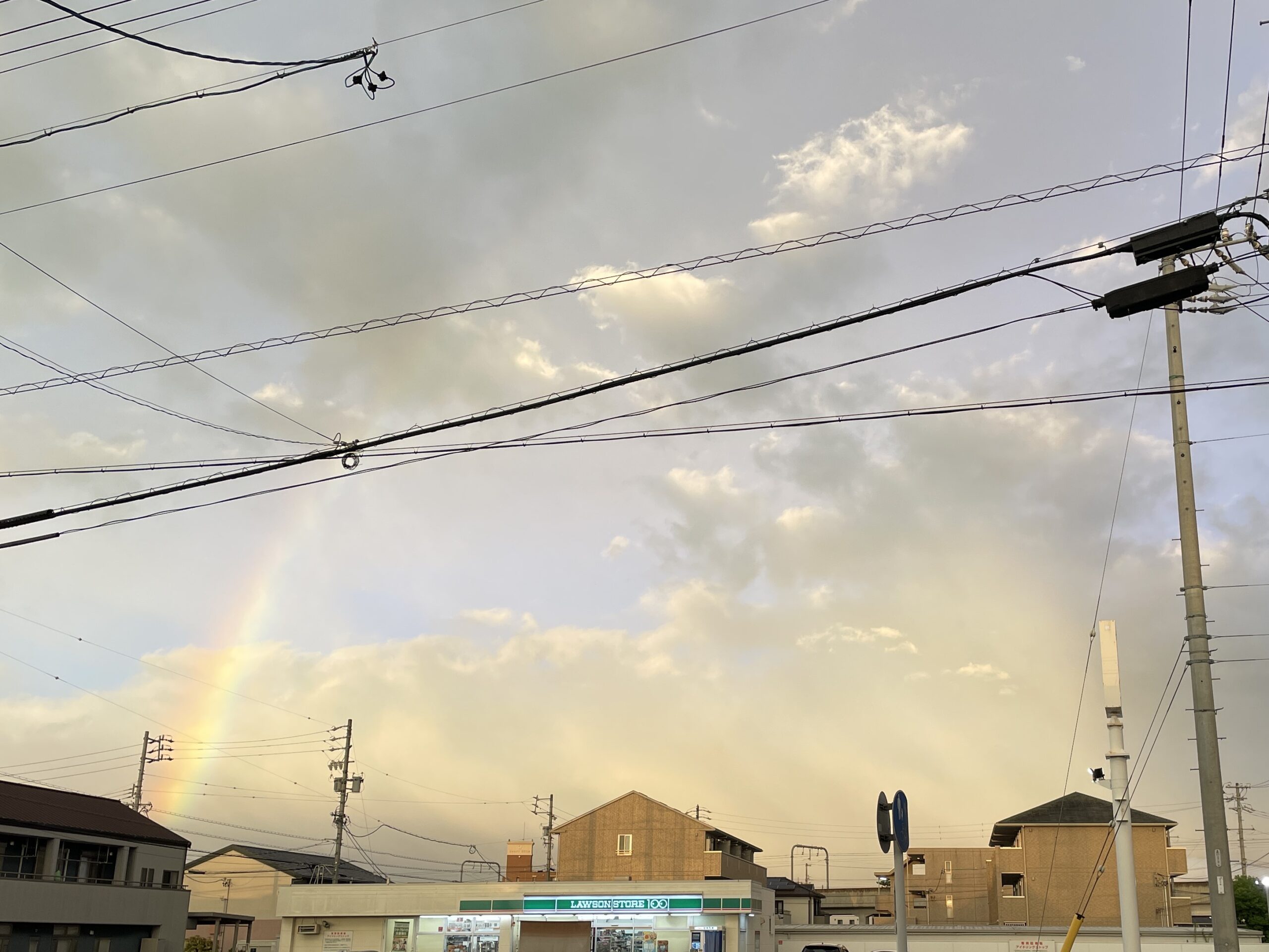 花に嵐のたとえもあるが、嵐の後には虹も出る | 自学アシスト 学び安